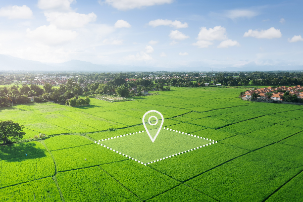 Land Investment Guide | Everything You Need to Know